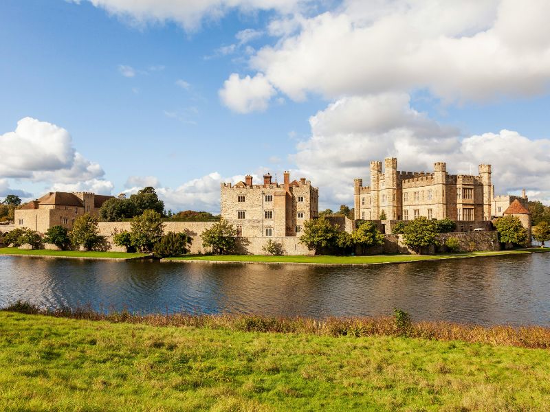 You Can Build a Competitive Moat Without Customer Insights—But It'll ...